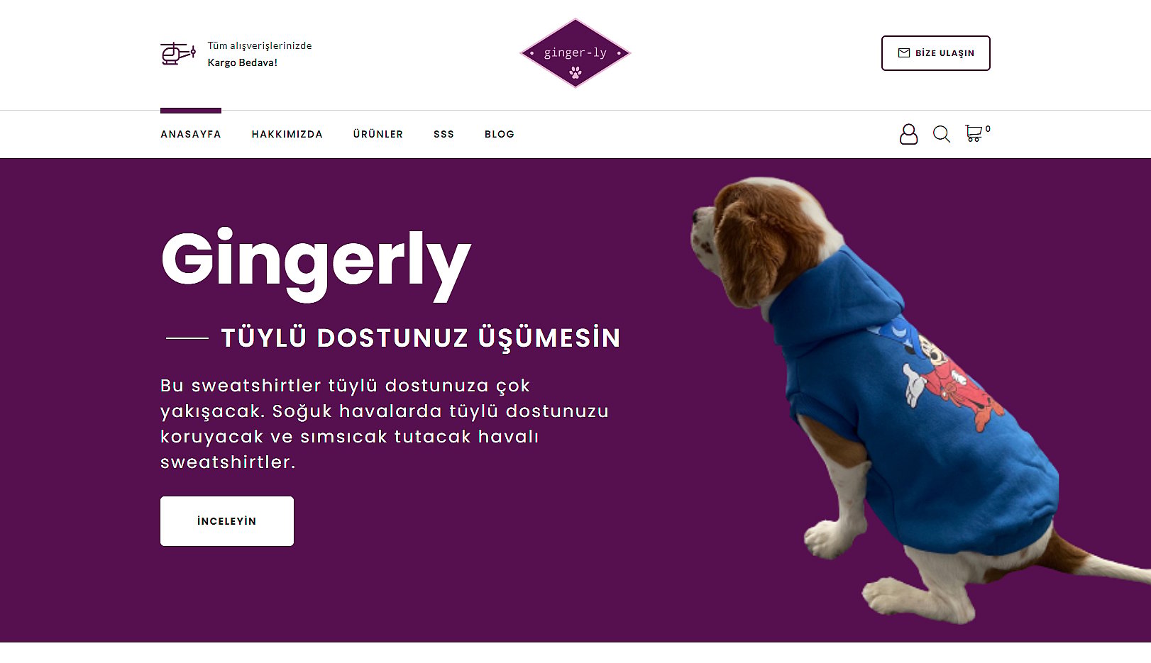 Gingerly Pet | ikipixel is Beyond an Agency